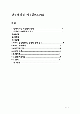 만성폐쇄성 폐질환(COPD : Chronic Obstructive Pulmonary Diseas) 문헌고찰-1페이지
