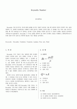[결과] 레이놀즈 수 (Reynolds Number)-1페이지