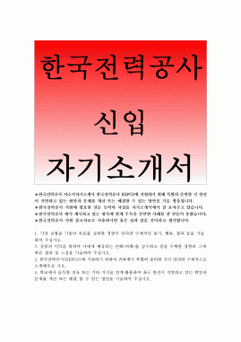 한국전력공사자기소개서_2014한국전력공사자소서,한전이직면하고있는현안,문제를개선방안,한국전력공사,KEPCO에지원하기위하여준비한것,한국전력공사지원동기,심혈을기울여목표를성취한경험-1페이지