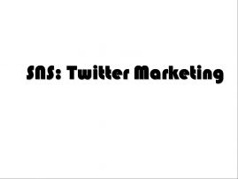 sns twitter  marketing-1페이지