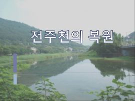 전주천 복원 사례.pptx
-1페이지