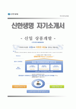 [신한생명 자기소개서] 신한생명 합격 자소서와 면접기출문제,2014신한생명자소서항목,신한생명보험 이력서-1페이지