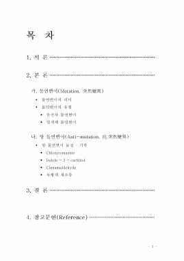 항돌연변이의 생체내 기작-1페이지