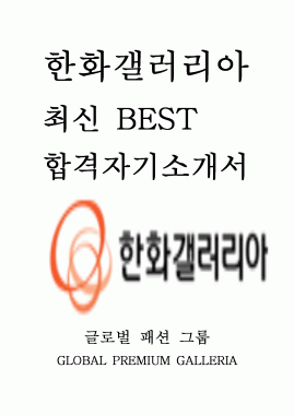 한화갤러리아 인턴 최신 BEST 합격 자기 소개서-1페이지