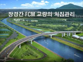 장경간 FCM 교량의 처짐 관리-1페이지