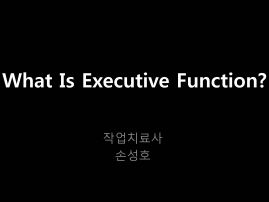 집행기능 레포트 자료-1페이지