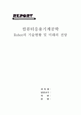 로봇(Robot)의 기술현황 및 미래의 전망 (로봇의 기술개요 및 발전과정, 로봇의 종류, 미래의 전망)-1페이지