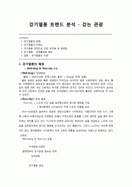 걷기열풍 트렌드 분석 - 걷는 관광 -1페이지