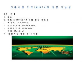 [민트 4개국의 성장 가능성] 신흥시장 민트(MINTs)의 성장 가능성  [민트 소속국가].ppt-1페이지