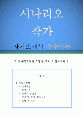 시나리오작가 자기소개서 우수예문 (시나리오작가 자소서,방송작가 자기소개서,연극작가 자기소개서,시나리오 자소서,방송국 합격예문,방송작가 우수예문,스토리작가 잘쓴예,드라마 작가 샘플)-1페이지