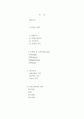다음 (DAUM) 레포트 자료-1페이지