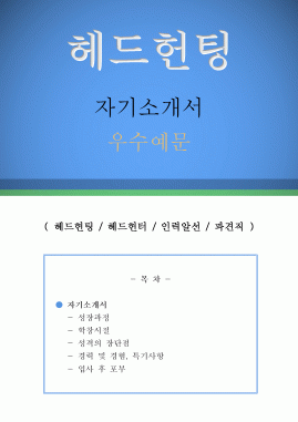 헤드헌팅 자기소개서 우수예문 (헤드헌팅 자소서,헤드헌터 자기소개서,아웃소싱 자기소개서,파견직 자소서,헤드헌터 합격예문,헤드헌팅, 인력알선업체 잘쓴예,용역, 헤드헌터 자소서 샘플)-1페이지