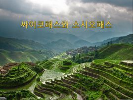 사이코패스(사이코패쓰 / psycho-path)와 소시오패스(소시오패쓰 / sociopath).ppt
-1페이지
