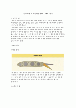 [항공역학] 고양력장치와 고항력 장치-1페이지