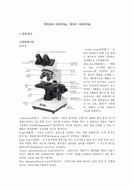 미생물학 실험 - Simple staining(단순염색), Gram staining(그람염색) 실험-1페이지