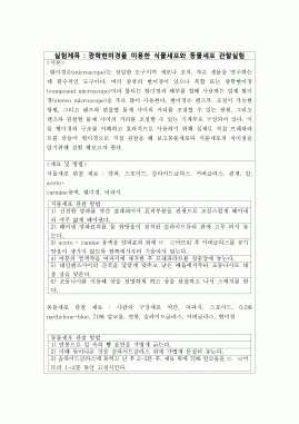 생물학실험 - 광학현미경을 이용한 식물세포와 동물세포 관찰실험-1페이지
