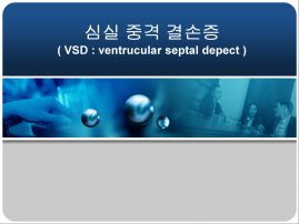VSD PPT 레포트 자료-1페이지