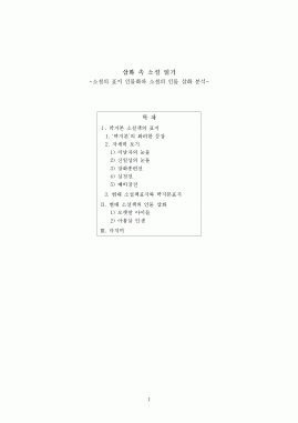 소설의 표지 인물화와 소설의 인물 삽화분석(소설속삽화, 삽화이야기, 삽화해석)-1페이지
