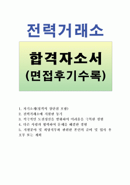 kpx한국 전력거래소 청년인턴 자소서 합격샘플+전력거래소 면접후기, 전력거래소 지원동기, 전력거래소 청년인턴 지원분야 및 희망직무, 공기업자소서, 한국전력거래소 자소서 항목 첨삭 (한국전력거래소자소서)-1페이지