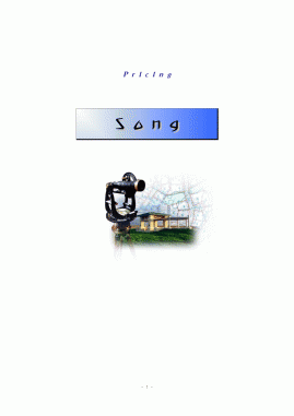Song 레포트 자료-1페이지