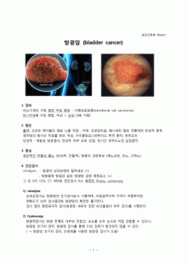 [CASE] 방광암 케이스 bladder cancer nursing case 간호과정-1페이지