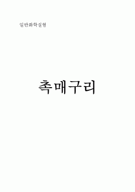 촉매구리 일반화학실험-1페이지