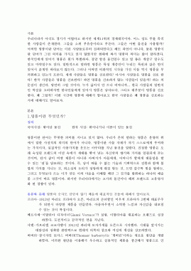 명품(名品)을 선호하는 이유-1페이지