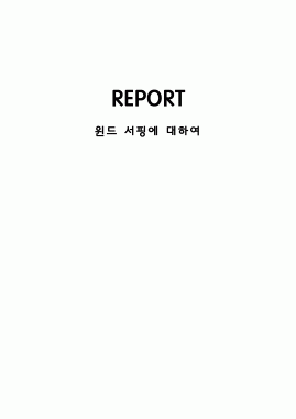 윈드 서핑에 대하여
-1페이지