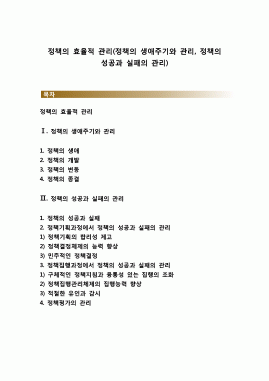 정책의 효율적 관리(정책의 생애주기와 관리, 정책의 성공과 실패의 관리,정책평가의 관리
)-1페이지