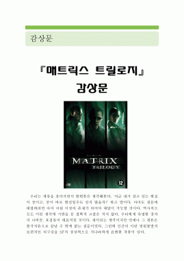 매트릭스 3부작 영화감상문 (매트릭스 트릴로지 영화감상문,매트릭스 감상문,메트릭스를 보고,매트릭스 줄거리,매트릭스 분석,이해,독서감상문,해석,비판,철학,비평,영화평,감상평)-1페이지