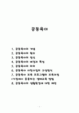 공동육아(공동육아원리, 공동육아배경, 공동육아특성, 공동육아어린이집, 공동육아보육)-1페이지