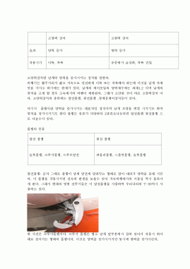 고항력장치와 고양력 장치-1페이지