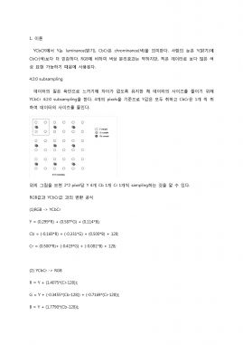 프로그래밍 #1 이미지 변환 (이론, 추가한 소스)-1페이지