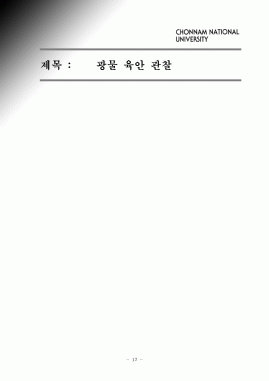 광물 육안관찰 이론
-1페이지