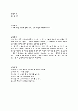 은거울반응(예비+결과)-1페이지
