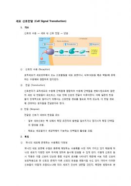 세포 신호전달 과 콜레라 독소 작용 기작 (Cell Signal Transduction and Cholera toxin)-1페이지