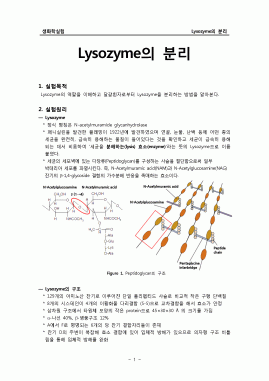 Lysozyme의 분리(예비보고서)-1페이지