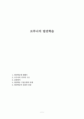 [사범/법학] 브루너의 발견학습-1페이지