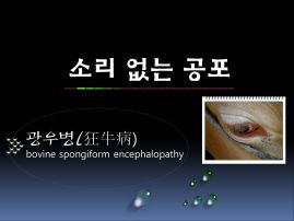 광우병 레포트 자료-1페이지