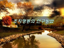조직행동organizing behavior의 연구방법-1페이지