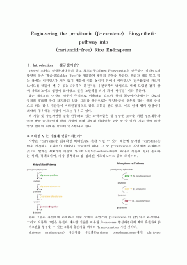 Engineering the provitamin (β-carotene Biosynthetic pathway into (cartenoid-free) Rice Endosperm-1페이지