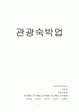 관광 숙박업 레포트 자료-1페이지