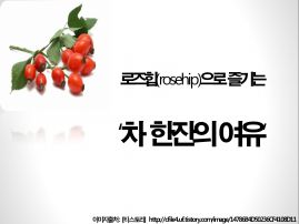 차次 한 잔의 여유, 로즈힙의 세계-1페이지