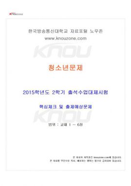 2015년 2학기 청소년문제 출석대체시험 핵심체크-1페이지