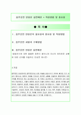 [올해최신]음주운전반성문예문+반성문작성노하우공개, 음주운전구제반성문실전예문, 음주운전반성문예문, 음주운전반성문  - 음주운전반성문실전예문-1페이지