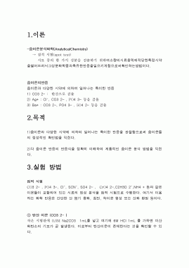 음이온陰ion의 분석 결과레포트-1페이지
