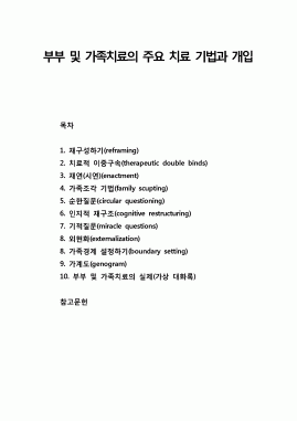 [상담과 심리치료] 부부 및 가족치료의 주요 치료 기법과 개입(부부 와 가족치료의 실제-가상 대화록 포함)-1페이지