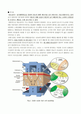 Multi-scale-architectured Thin-film-base Solid Oxide Fuel Cell-1페이지