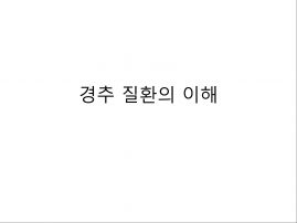 경추頸椎 질환의 이해-1페이지