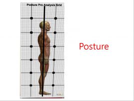 체형body type  분석-1페이지